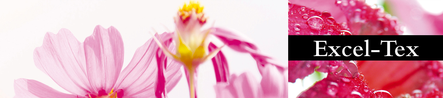 EXCEL-TEX Archives - Fancy Papers